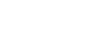 Vall Companys Group